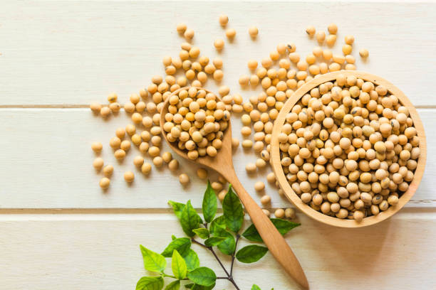 Dampak Pengunaan Full Fat Soybean Meal pada Pakan Unggas | Poultry ...